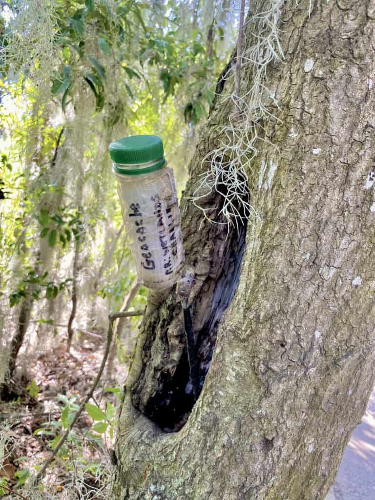 What is Geocaching? • Vacation Script