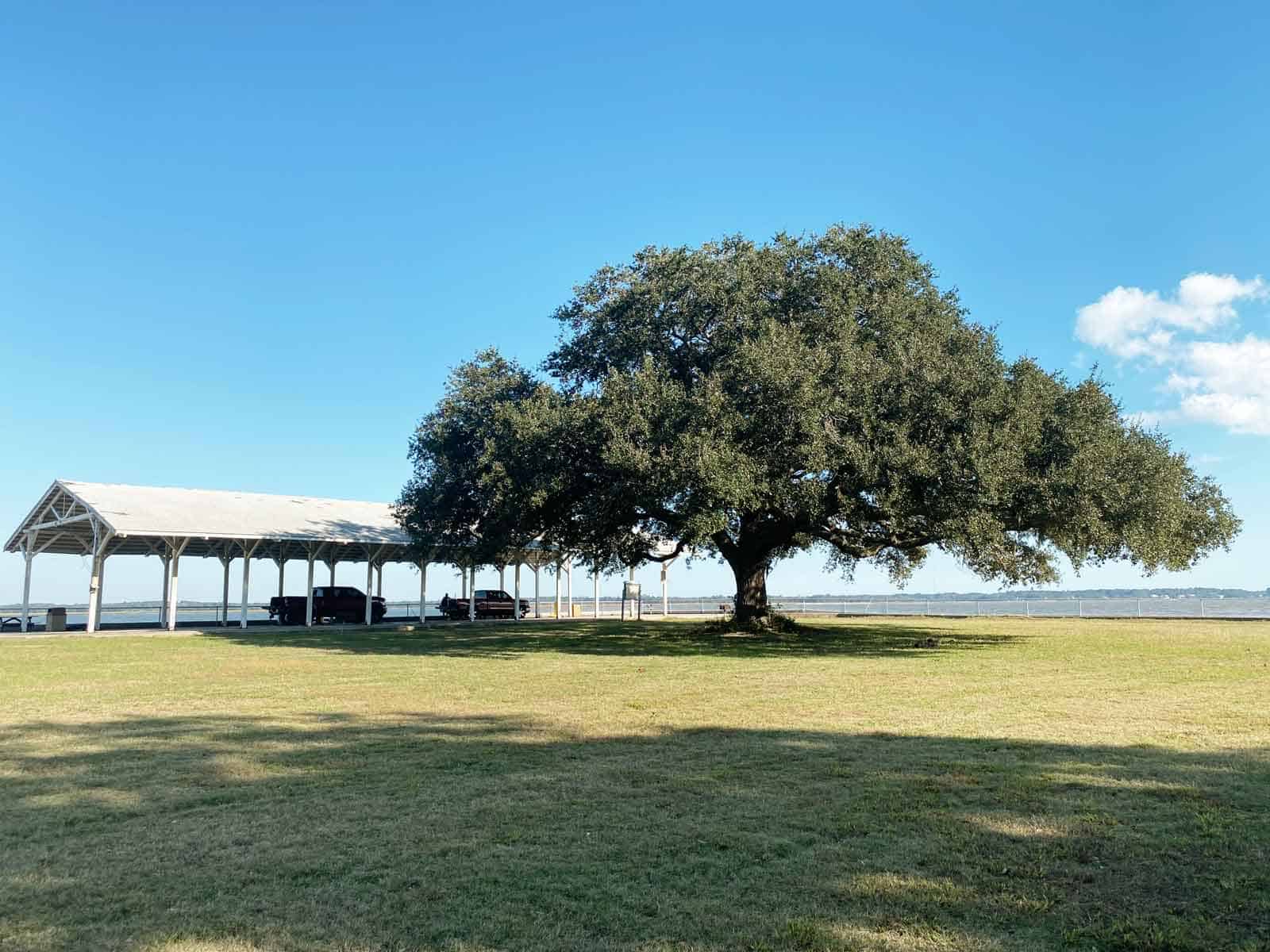 Things to do on Parris Island, South Carolina: A Local's Ultimate Guide ...