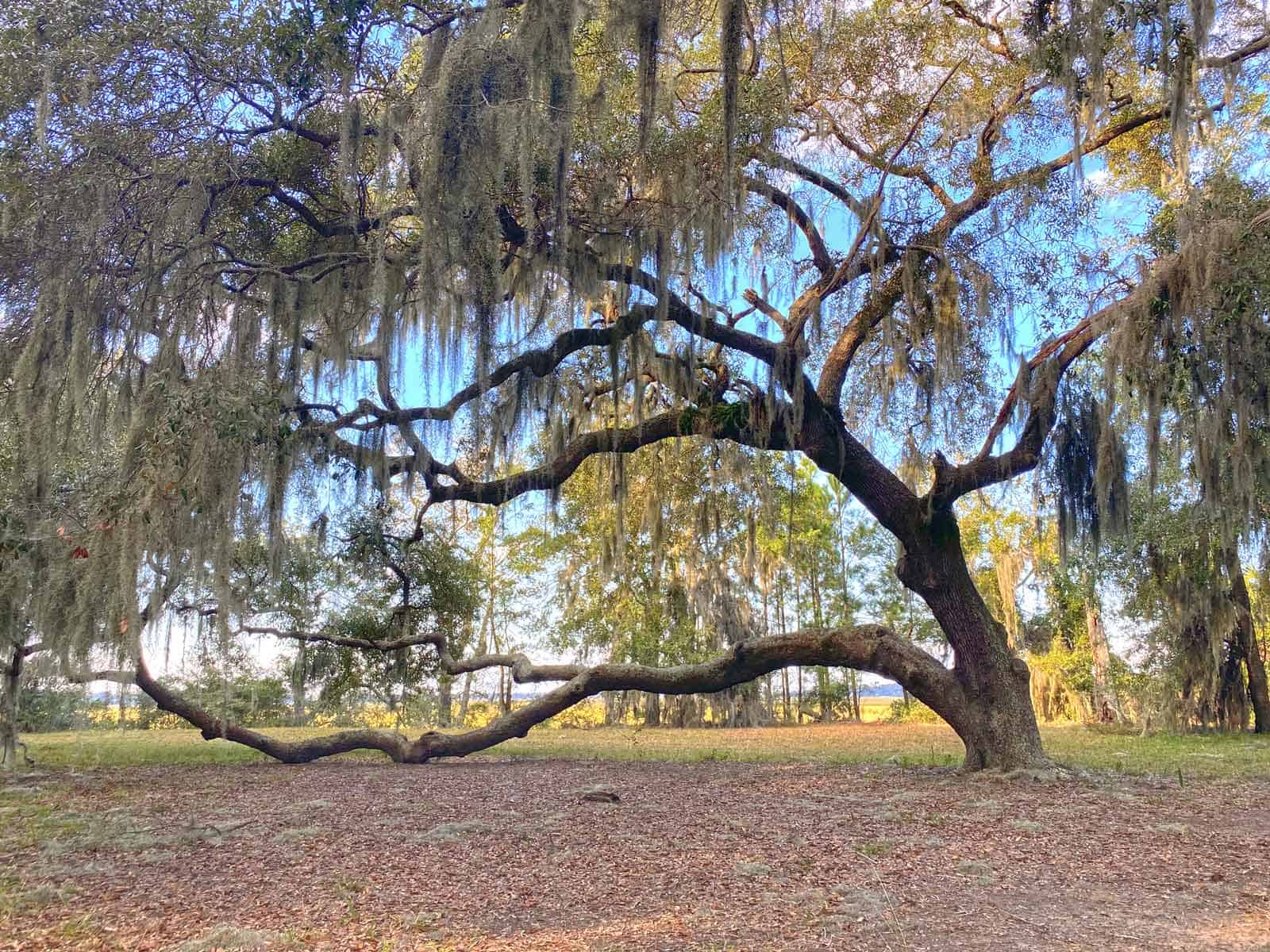 Things to do on Parris Island, South Carolina: A Local's Ultimate Guide ...