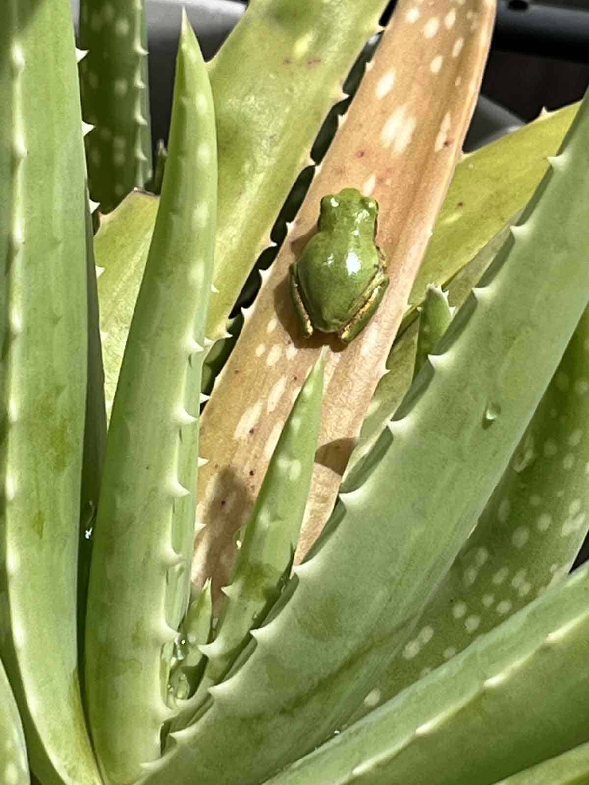 Things to do on Parris Island, South Carolina: A Local's Ultimate Guide ...