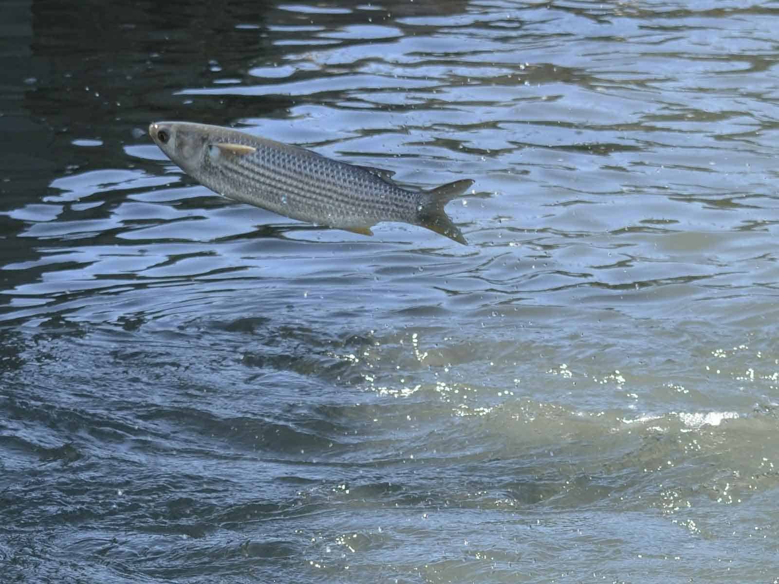 Things to do on Parris Island, South Carolina: A Local's Ultimate Guide ...