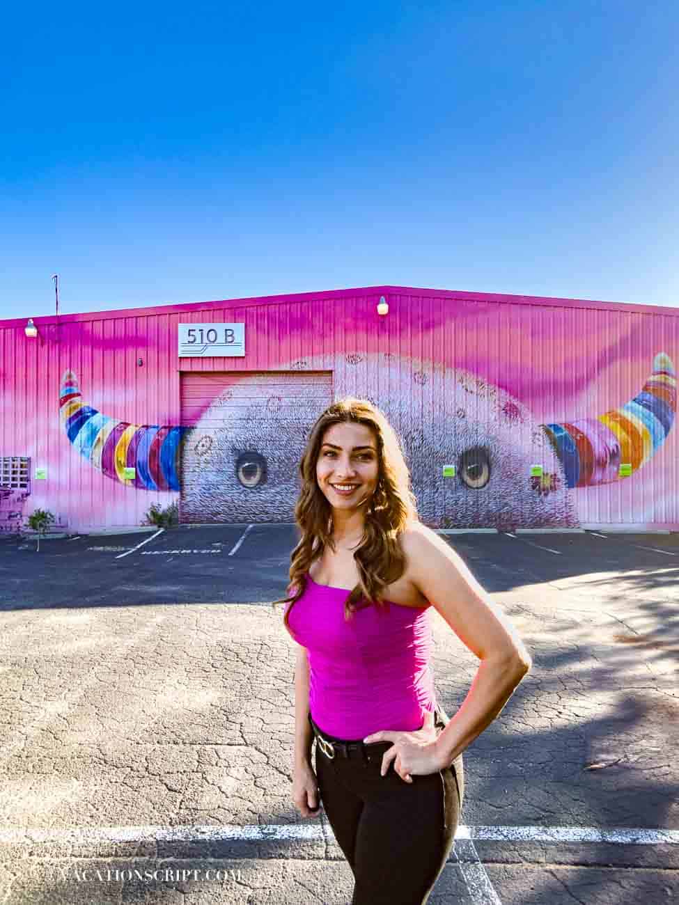 The Ultimate 2025 Guide to Murals Austin • Vacation Script